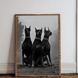 3 Doberman Poster, Black and White, Fashion Photography, Luxury Wall ...