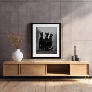 3 Doberman Poster, Black and White, Fashion Photography, Luxury Wall ...