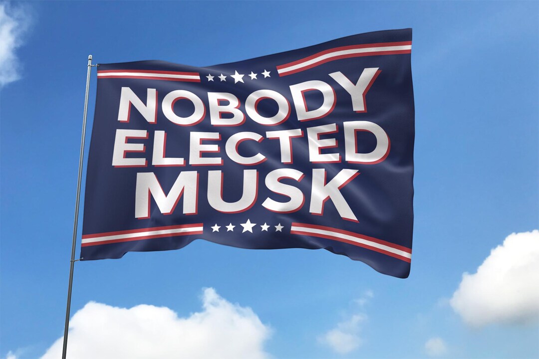 Nobody Elected Elon Flag, F'elon and the Felon, Resist Hate Flag, Anti ...