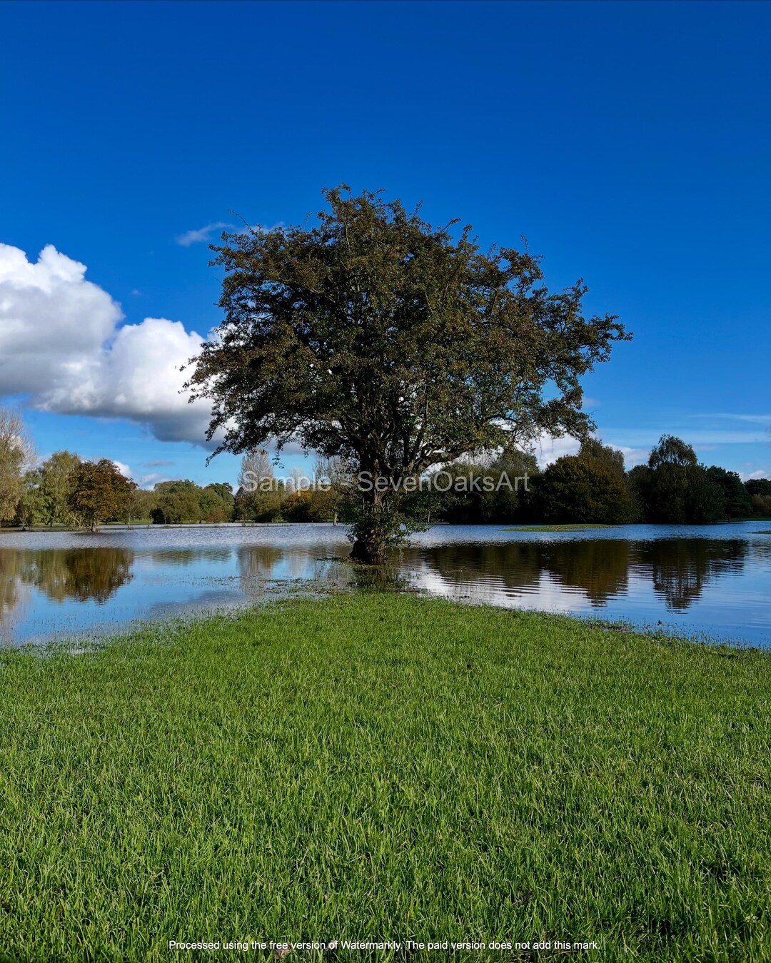 Beautiful Tree in Flood Water, Tree Photo Wall Art, Nature Wall Hanging ...