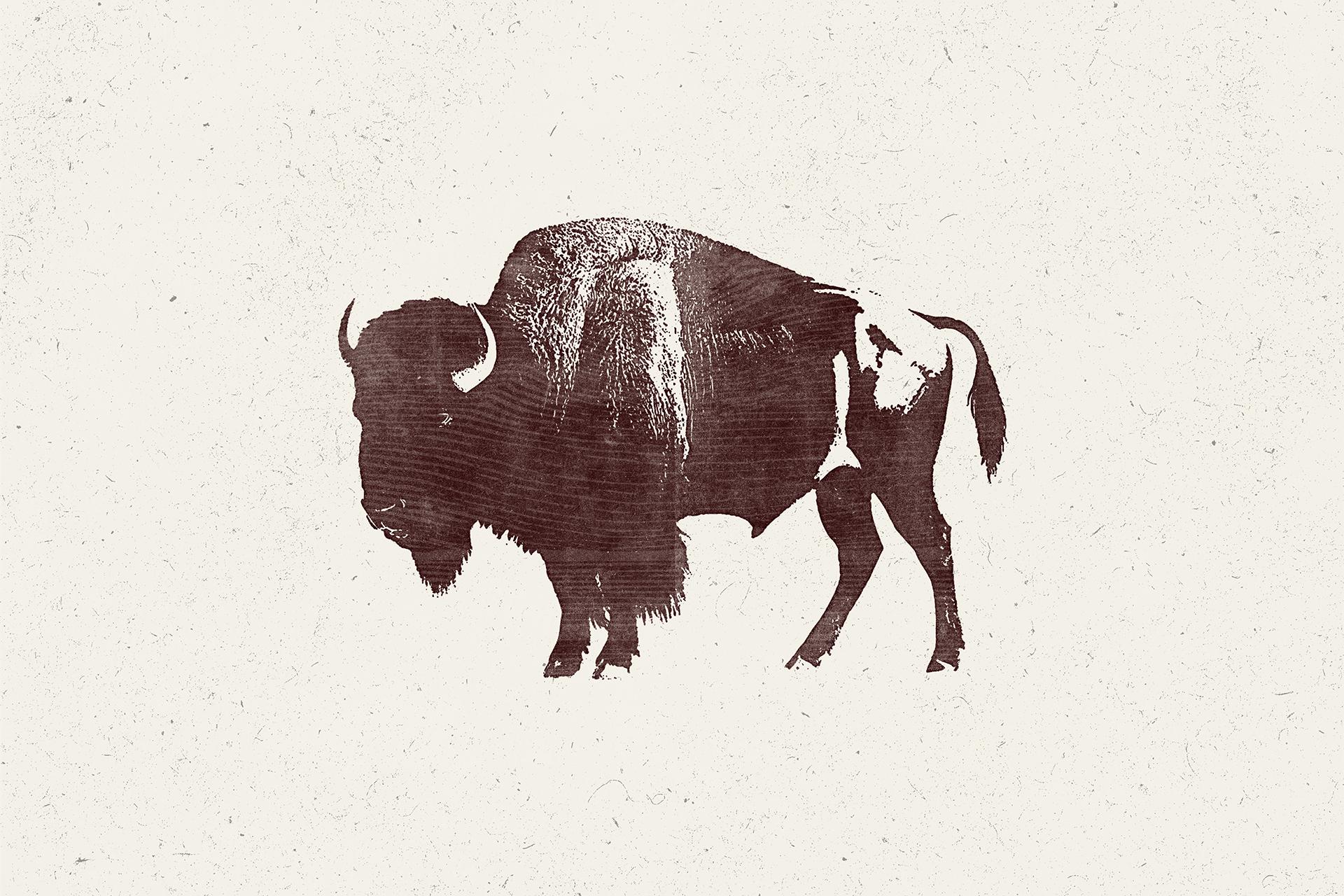 Buffalo Poster, American Bison Print Art, Wall Art, Western Print ...