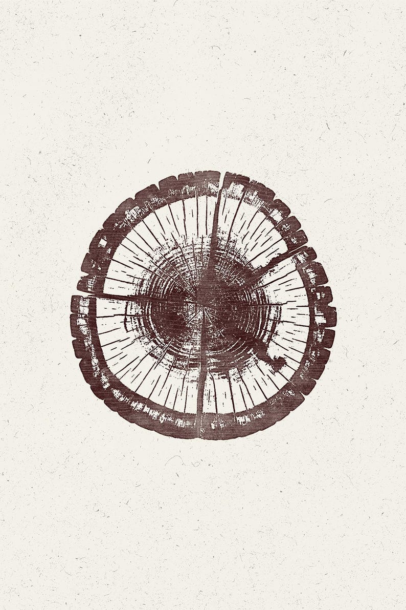 Tree Cross-section Poster, Tree Trunk Print, Nature Print, Minimalist ...