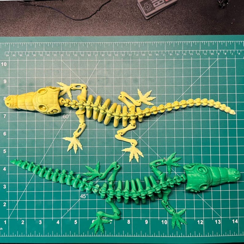 Articulating Skeleton Alligator Crocodile With Free Shipping in 2 Sizes ...
