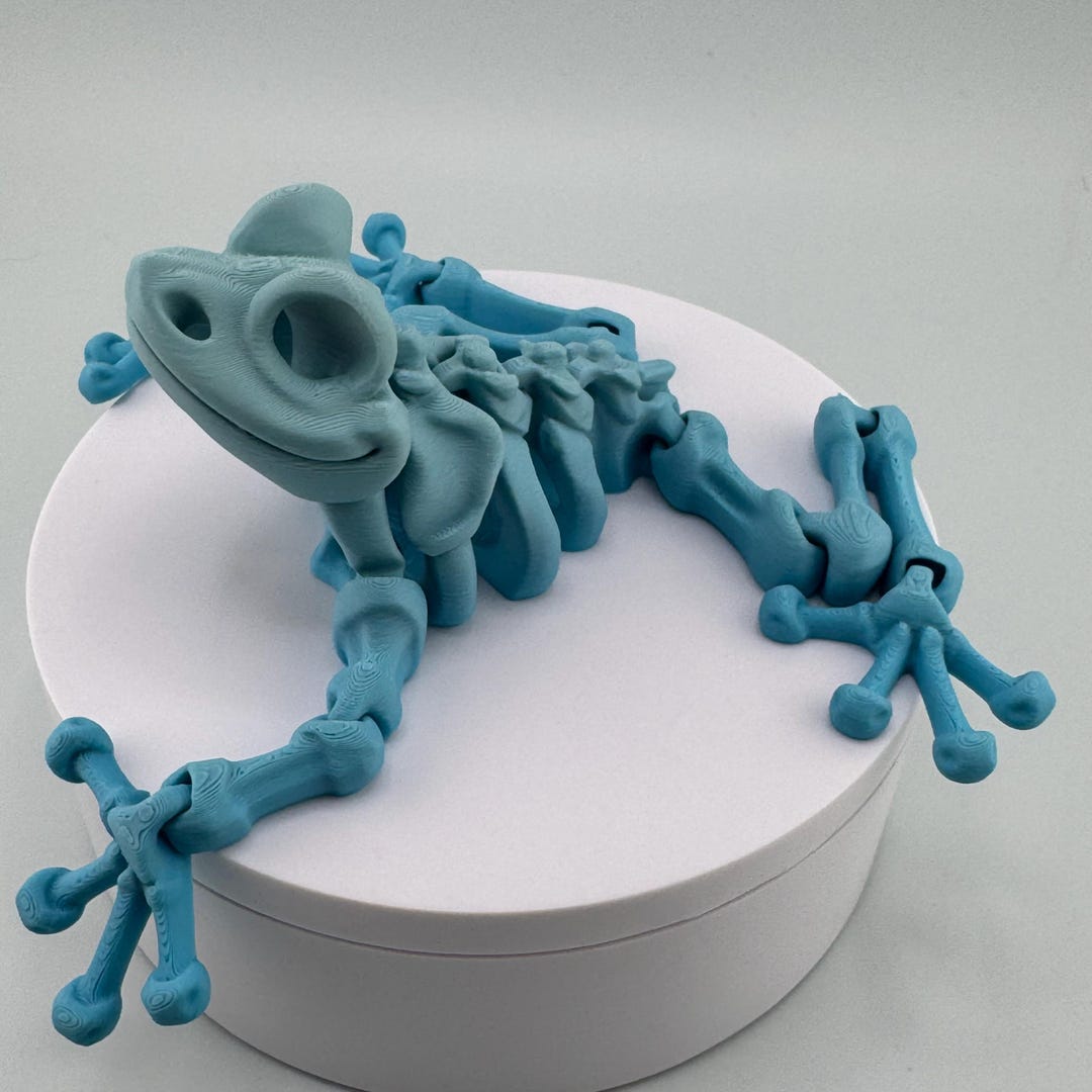Articulating Frog Skeleton Desk Toy: Flexi Factory PLA Plastic - Etsy