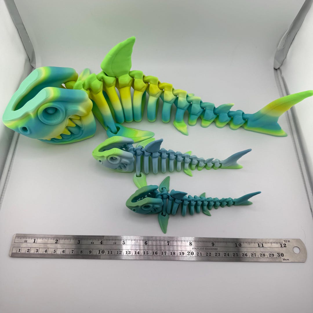 Articulating 3-D Shark Skeleton - Etsy