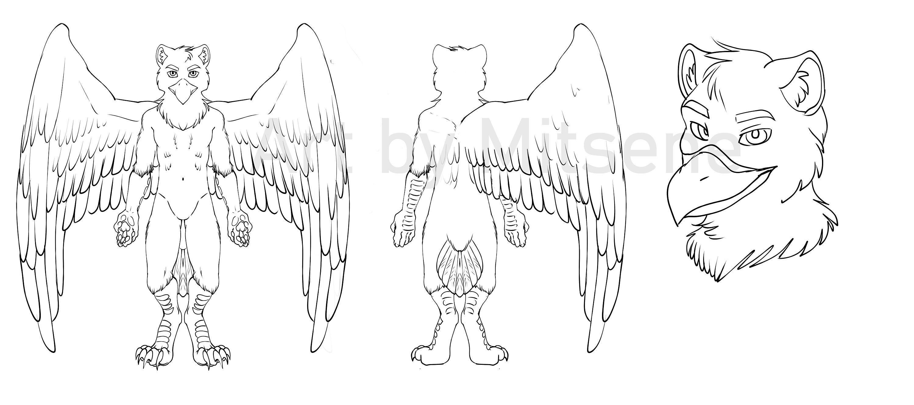 Griffin Furry Art Download Reference Sheet Male Winged - Etsy