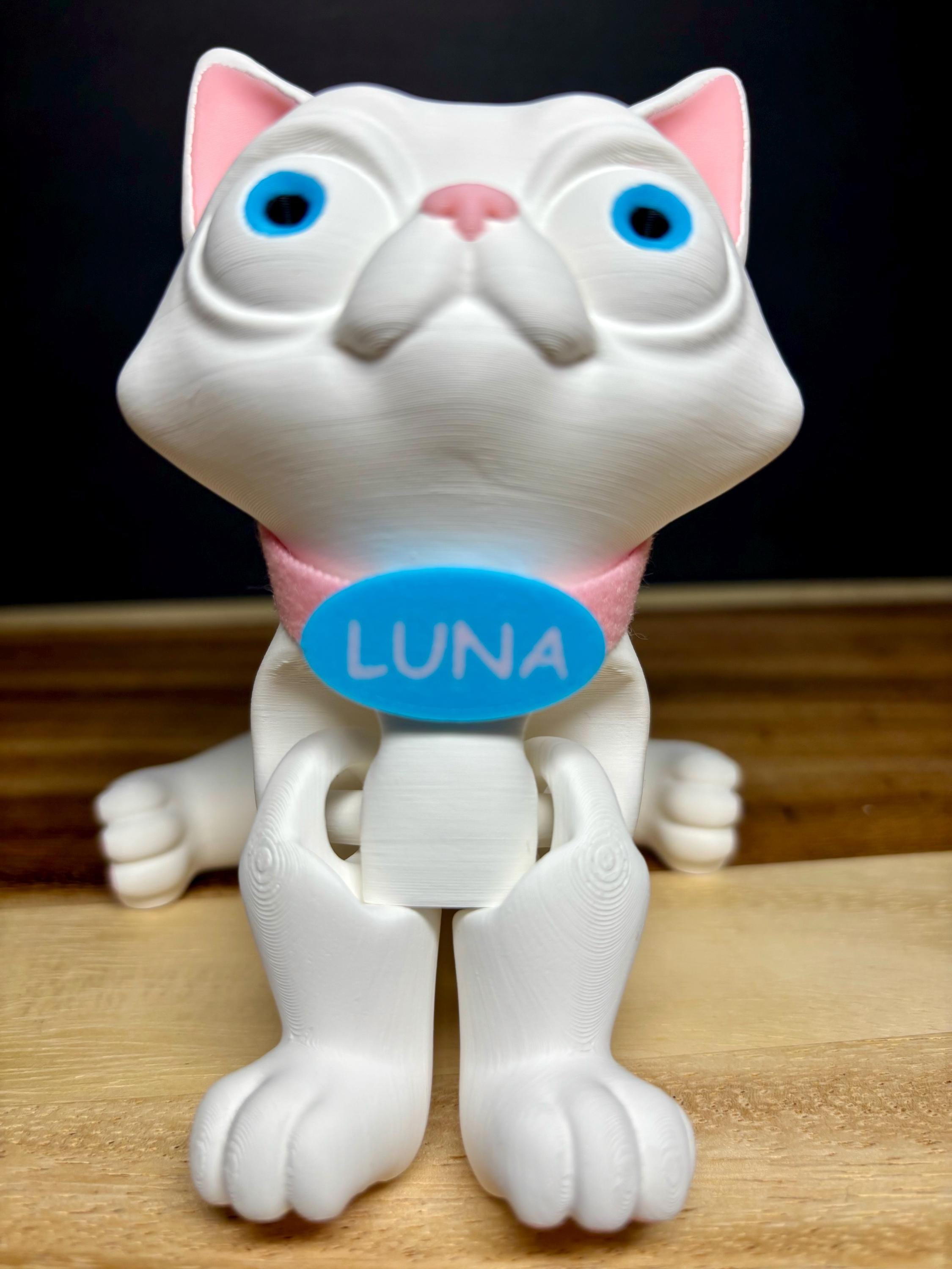 Personalized 3D Printed Pet Cat, Name Your Own Pet Cat, Christmas Gift ...