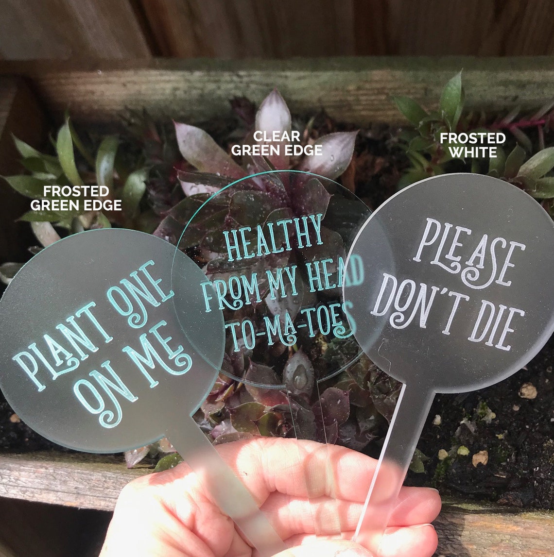 Planted in Memory Personalized Memorial Plant Stake / Garden - Etsy