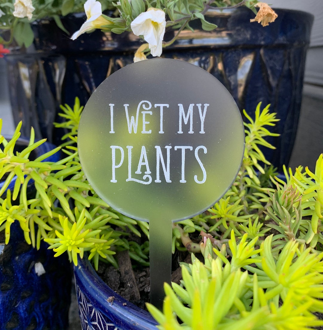 Funny Quote Custom Plant Stake / Punny Garden Marker / Garden Decor - Etsy