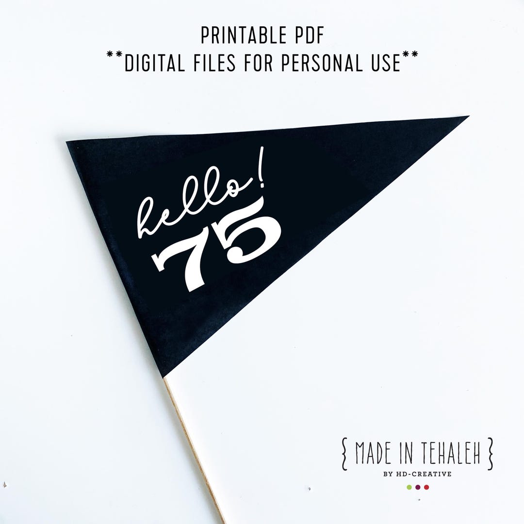 PRINTABLE / DIGITAL FILE / 75th Birthday Pennant Flag / Age 75 / Happy ...