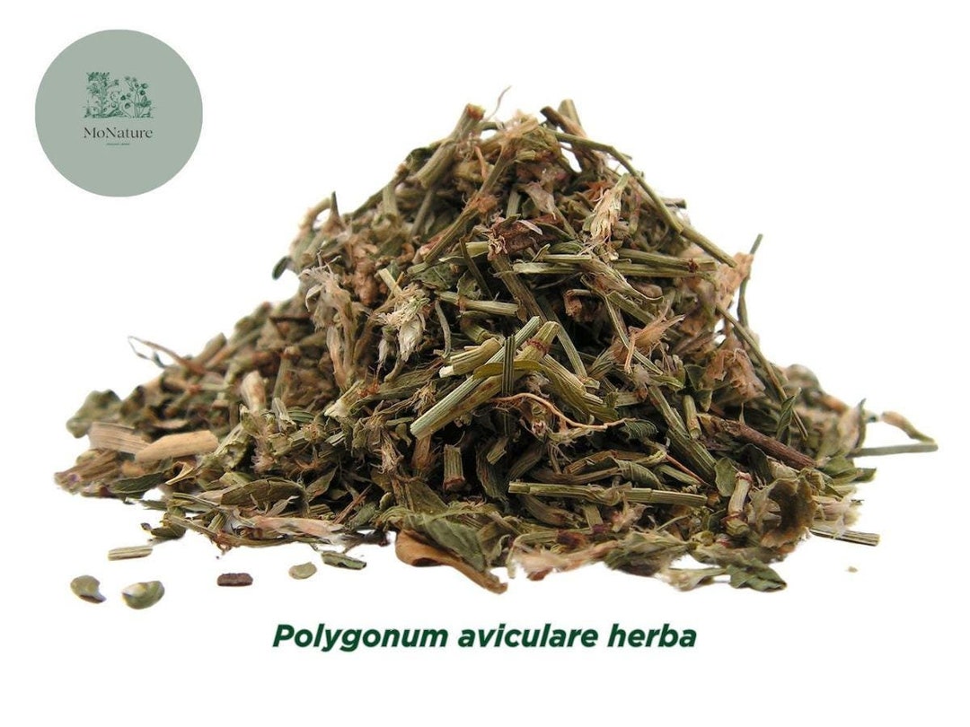 Polygonum Aviculare Herba | Knotgrass Herb - Etsy