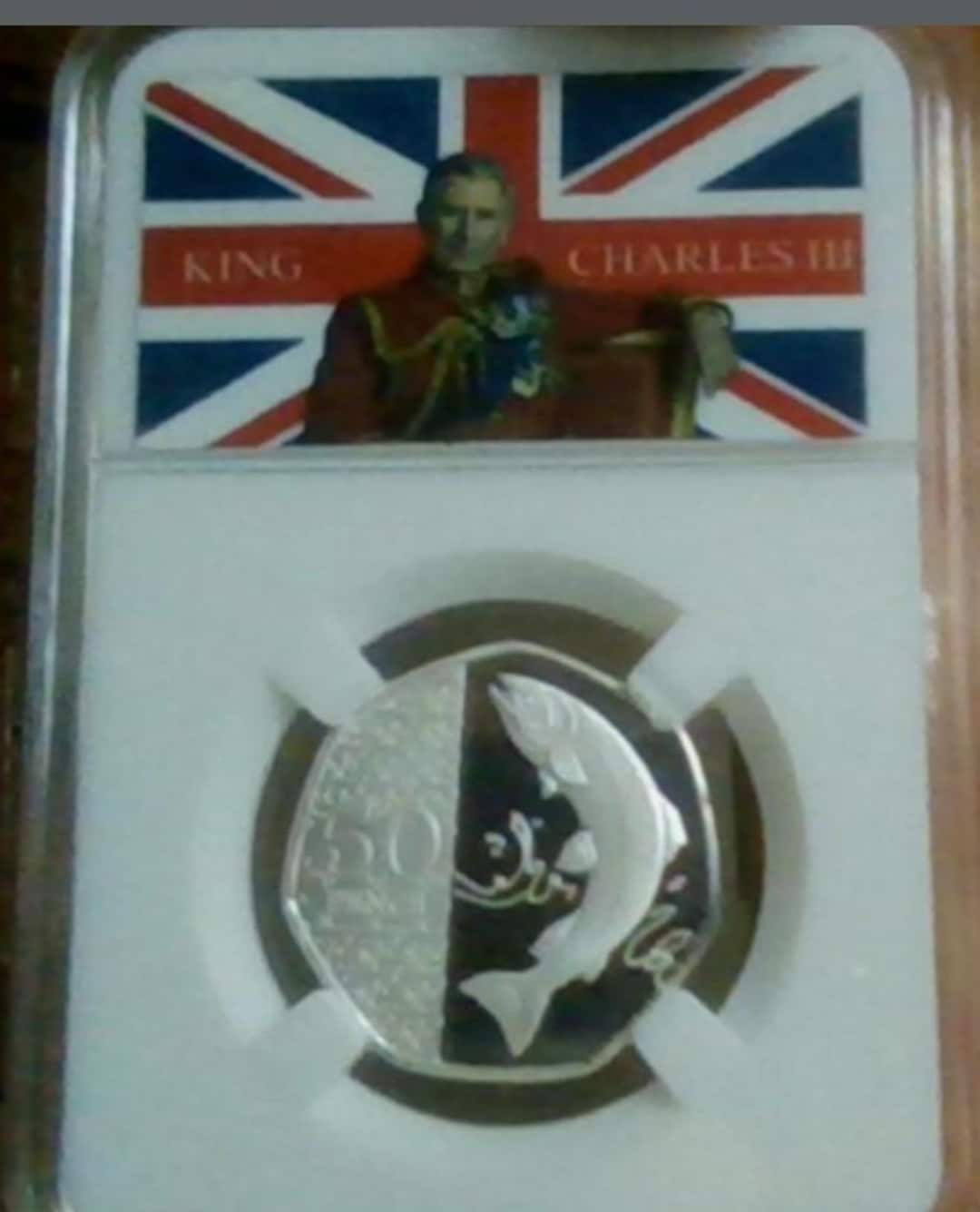 2023 Atlantic Salmon 50p Coin With a Privy Mark in a Slab - Etsy UK
