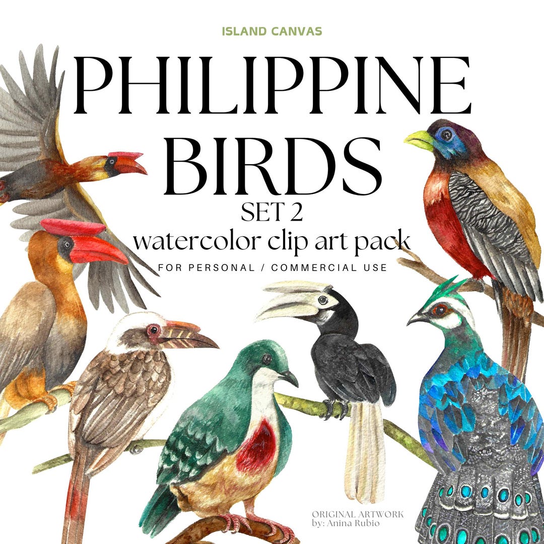 Watercolor Philippine Birds Clip Art Set 2 Hand-painted Bird ...