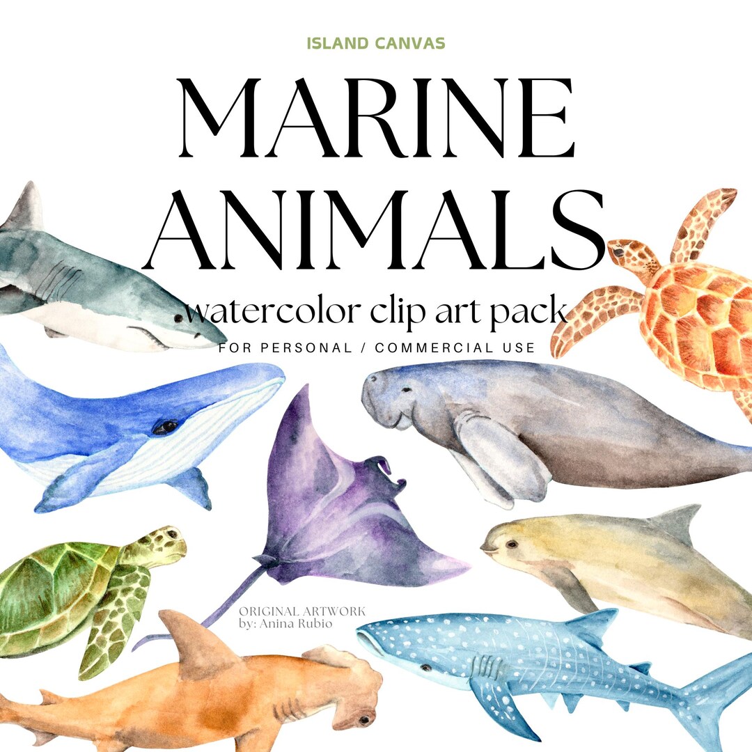 Watercolor Marine Animals Clip Art Pack Hand-painted Underwater ...