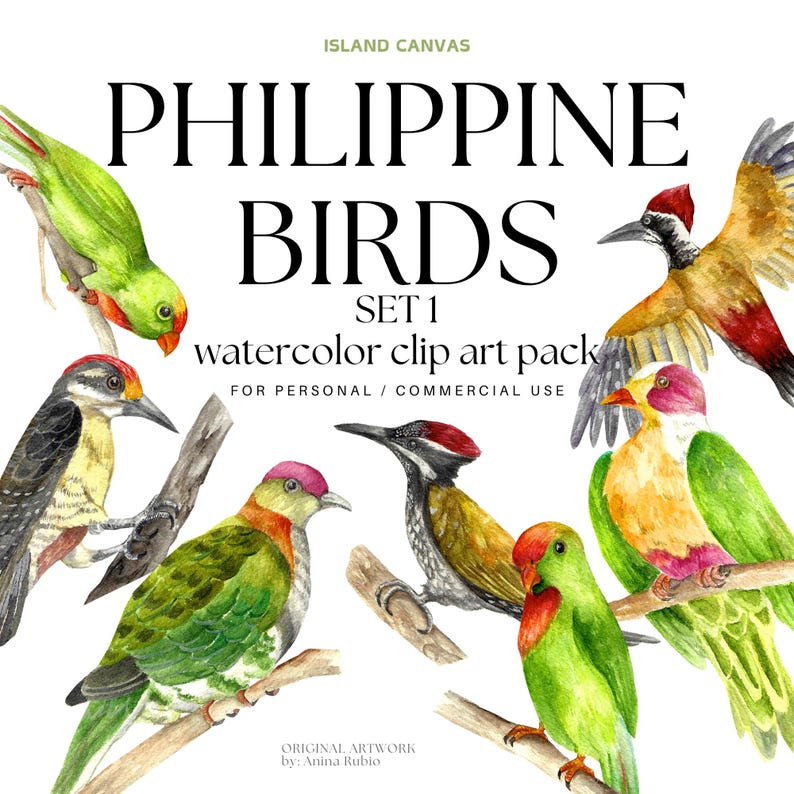 Watercolor Philippine Birds Clip Art Set 1 Hand-painted Bird ...