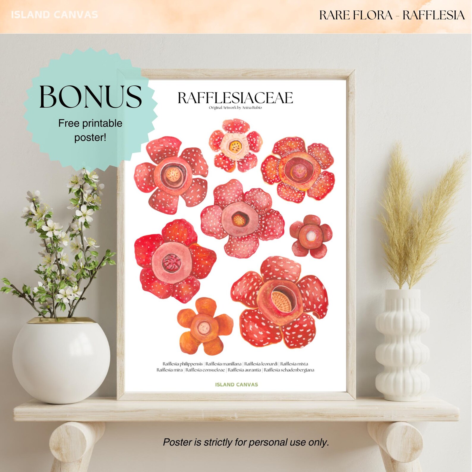 Watercolor Rafflesia Flowers Clip Art Pack | Hand-painted Floral ...