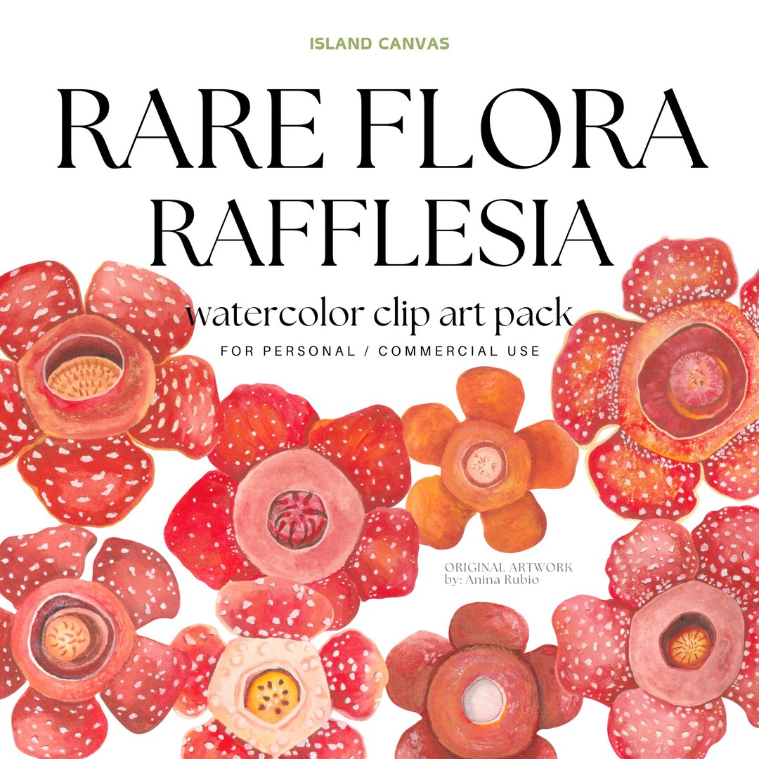 Watercolor Rafflesia Flowers Clip Art Pack | Hand-painted Floral ...