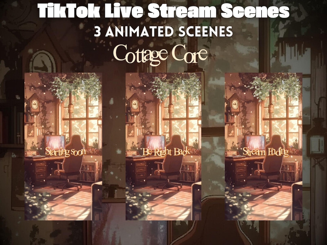 Tiktok Live Overlay Scenes | Cottagecore | 3 Animated | Scenes | Tiktok ...