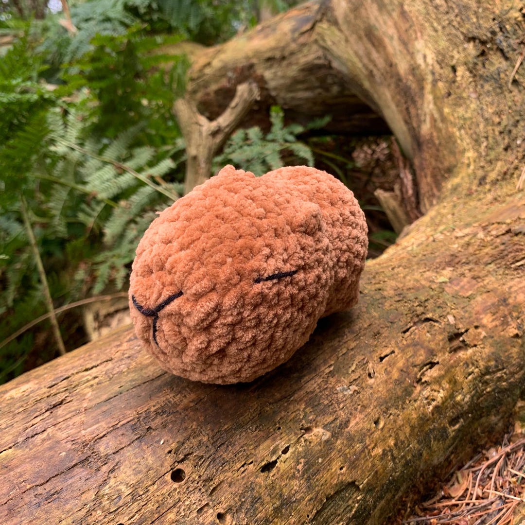 Sleepy Capybara Crochet Plushie, Cute Desk Buddy, Pocket Friend, Stress ...