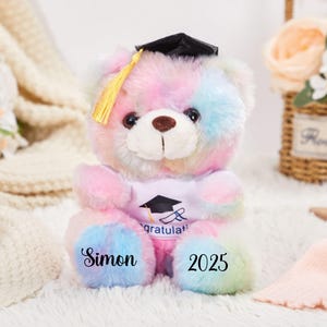 Graduation Teddy Bear With Custom School Name, Plush Bear With ...