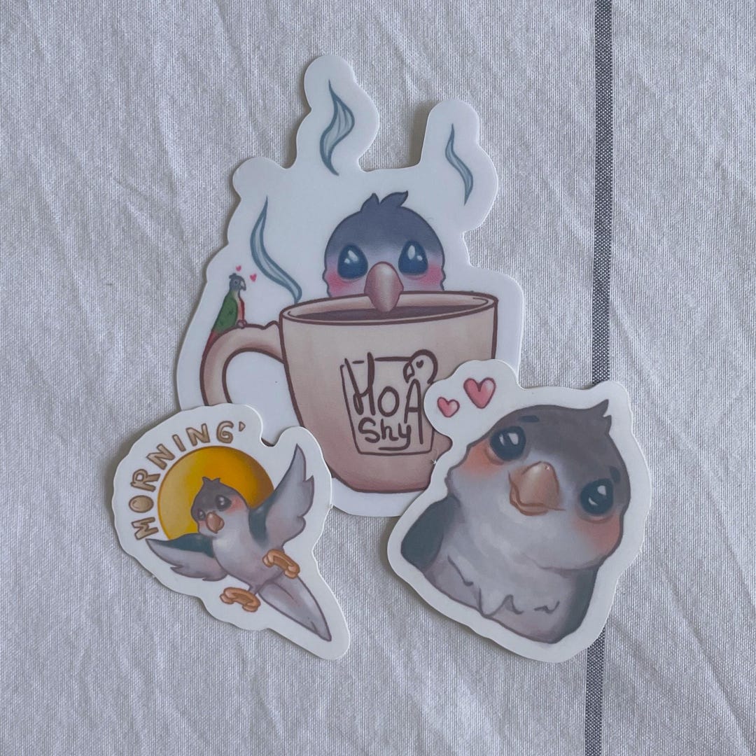 Set of 3 Stickers "bloom's Core" Collection - Etsy