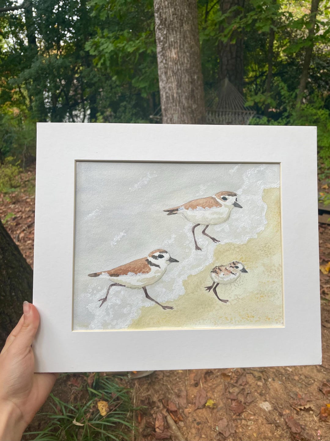 Snowy Plovers on Beach - Etsy