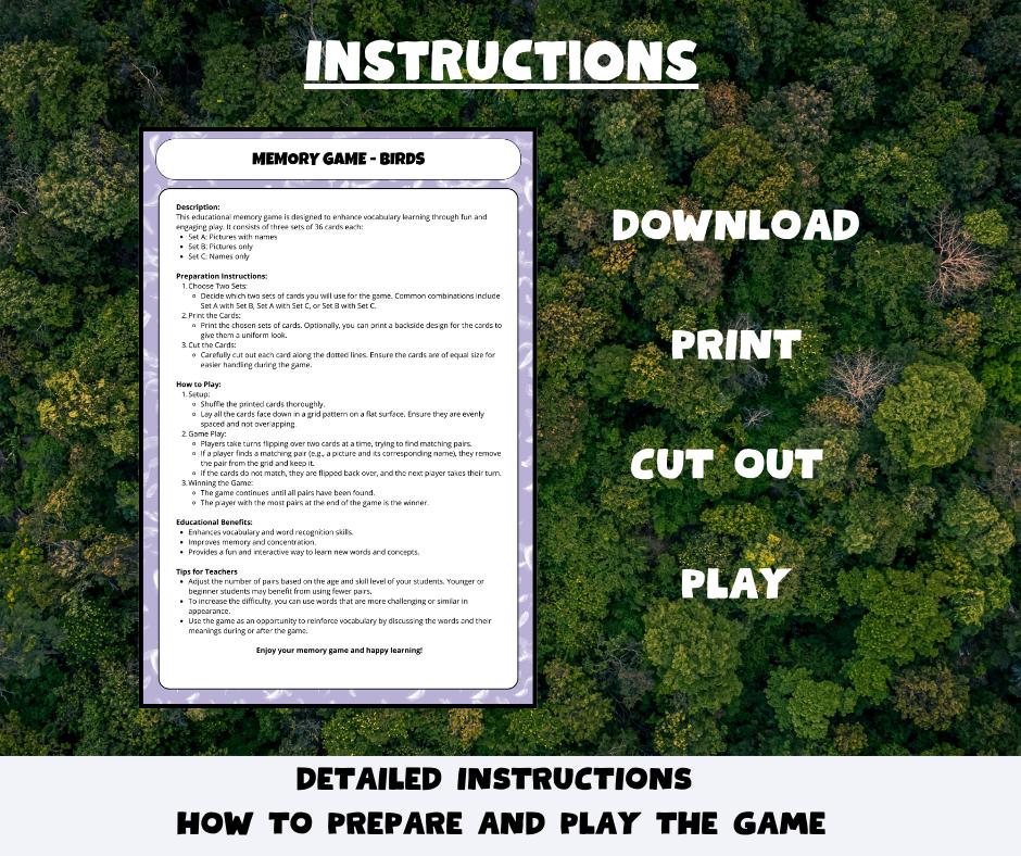 Birds Memory Game, Printable Game, Bird Matching Activity, Nature ...