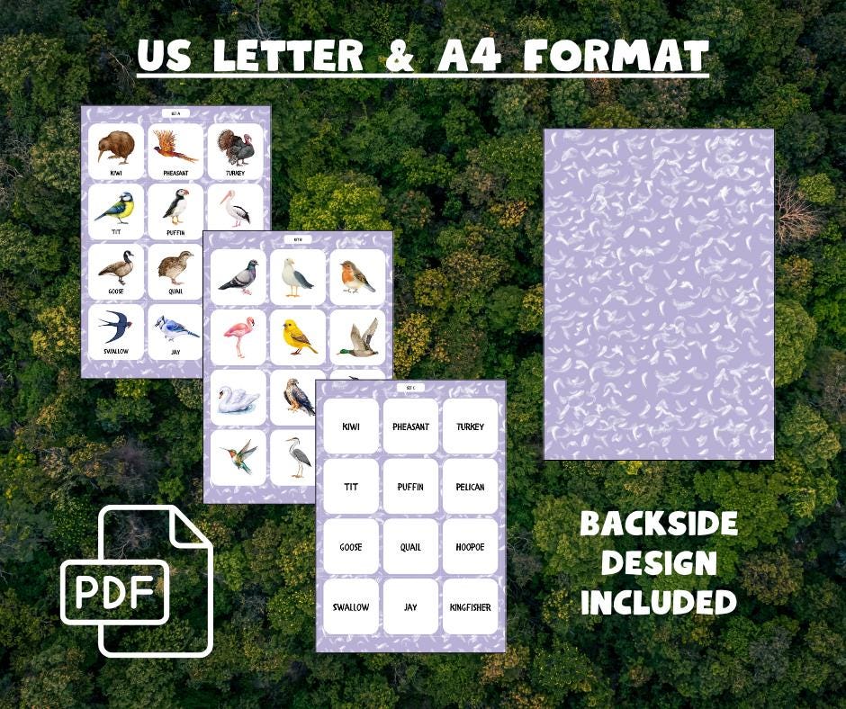 Birds Memory Game, Printable Game, Bird Matching Activity, Nature ...