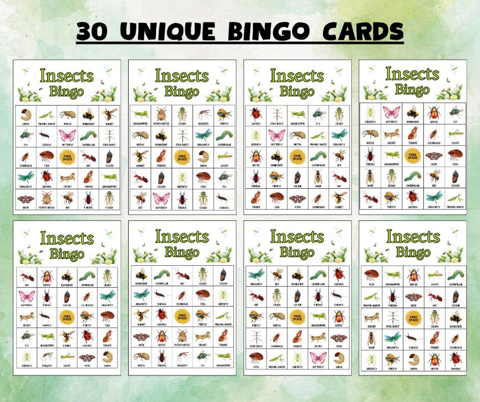 Insect Bingo Game: 30 Unique Bugs Cards (printable PDF) - Etsy