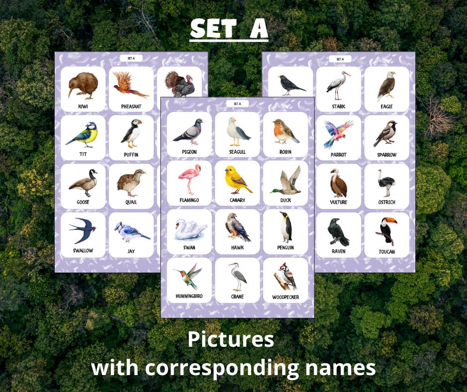 Birds Memory Game, Printable Game, Bird Matching Activity, Nature ...