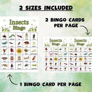 Insect Bingo Game: 30 Unique Bugs Cards (printable PDF) - Etsy