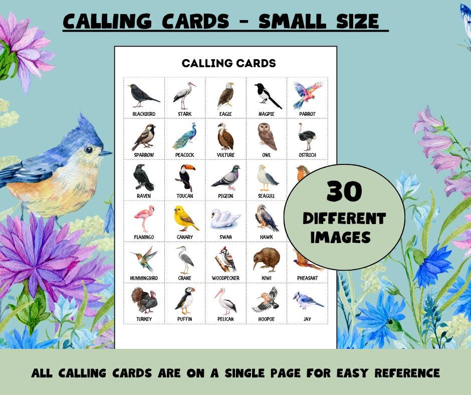 Birds Bingo Game - 30 Unique Birds Bingo Cards - Printable A4 Format ...