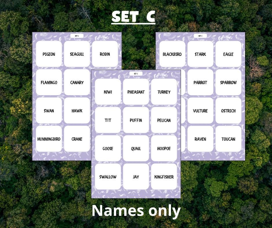 Birds Memory Game, Printable Game, Bird Matching Activity, Nature ...