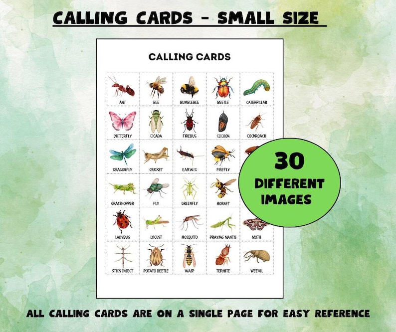 Insect Bingo Game - 30 Unique Bugs Bingo Cards - Printable US Letter ...