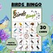 Birds Bingo Game: 30 Unique Cards, Nature Education (digital Download ...