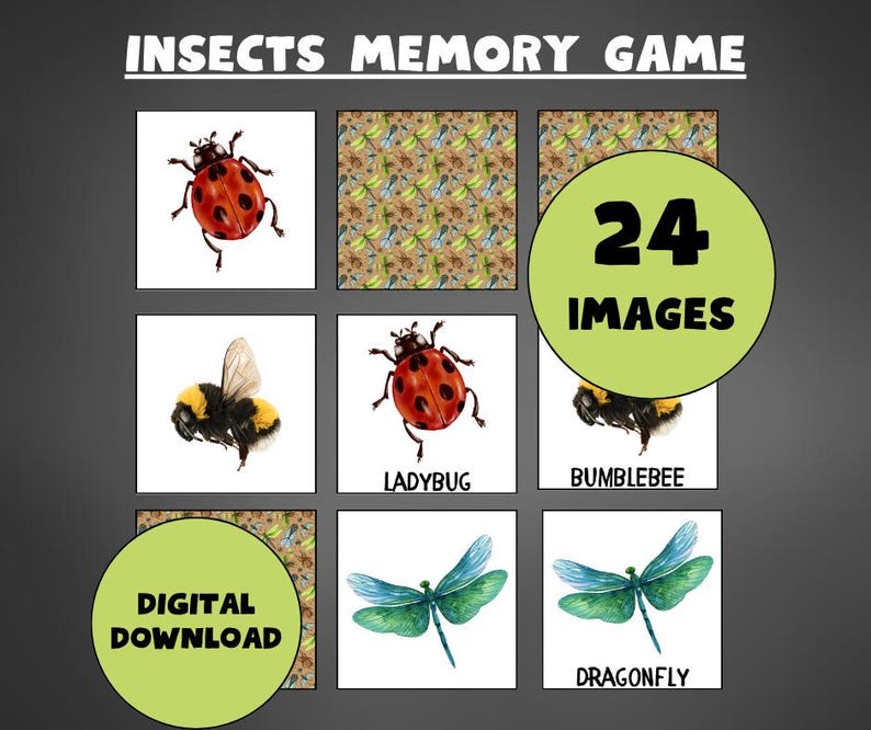 Insects Memory Game, Printable Game, Bug Matching Activity, Nature ...