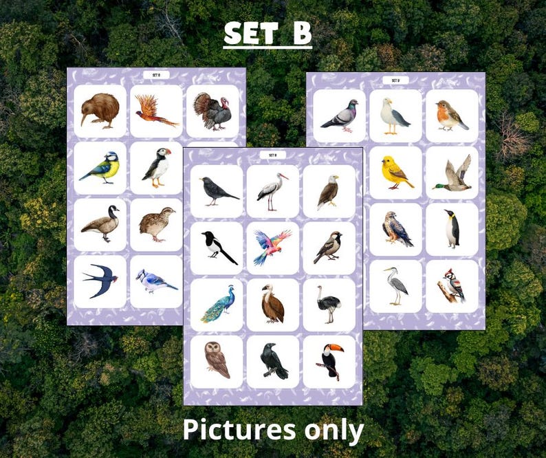 Birds Memory Game, Printable Game, Bird Matching Activity, Nature ...