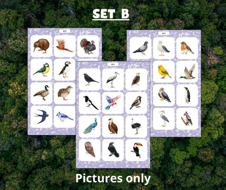 Birds Memory Game, Printable Game, Bird Matching Activity, Nature ...