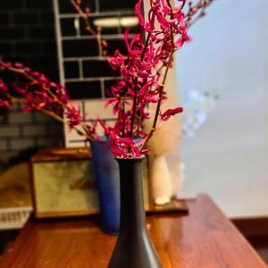 Orchid Stem, Aranthe Fresh Red Aranthera Orchid Stems - Exotic Anne ...