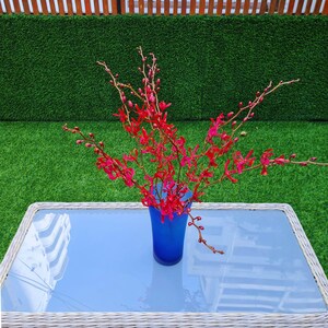 Orchid Stem, Aranthe Fresh Red Aranthera Orchid Stems - Exotic Anne ...