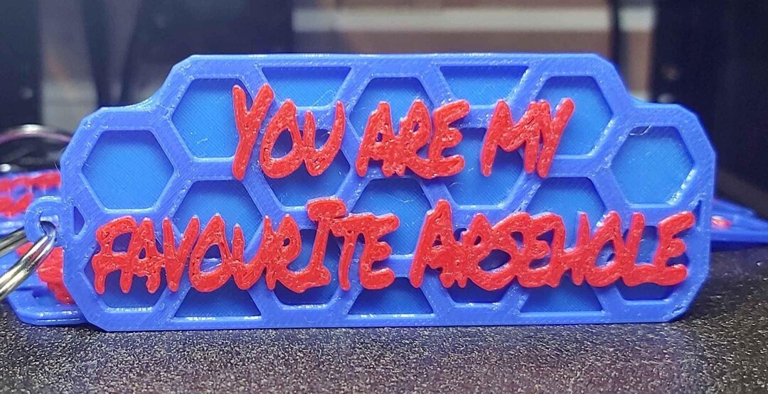 3d Printed Rude and Offensive Keyring With Quote "you Are My Favourite ...