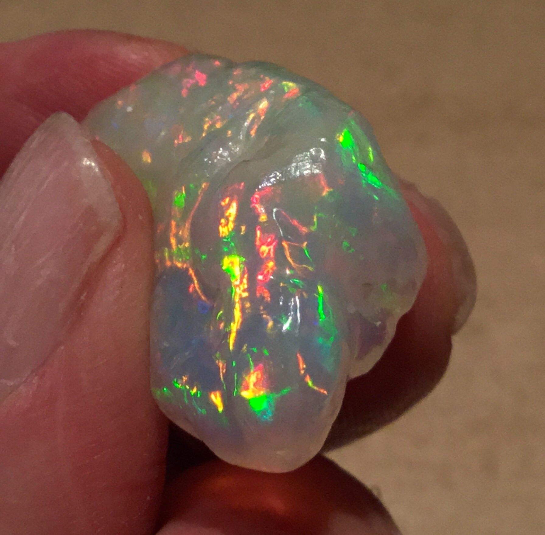 This Opal Takes on Many Visual Forms ,150 Million Year Old Whole Free ...