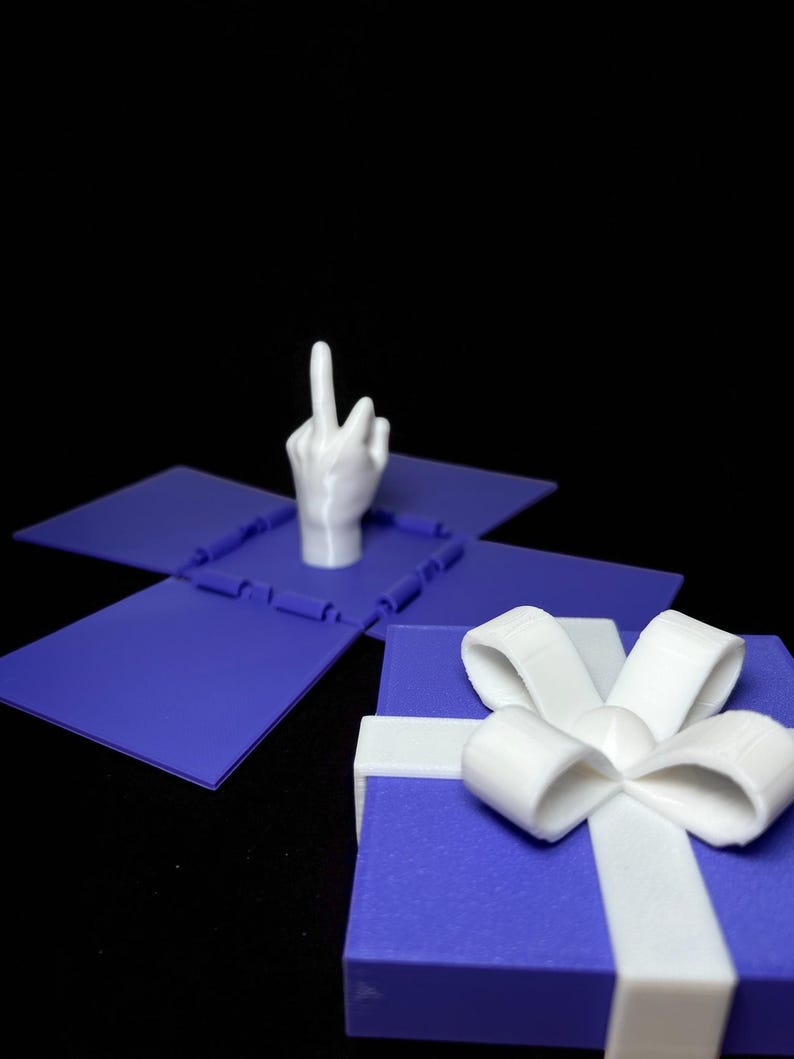 3D Printed Middle Finger Gift Box | Funny Prank Gag Gift - Etsy