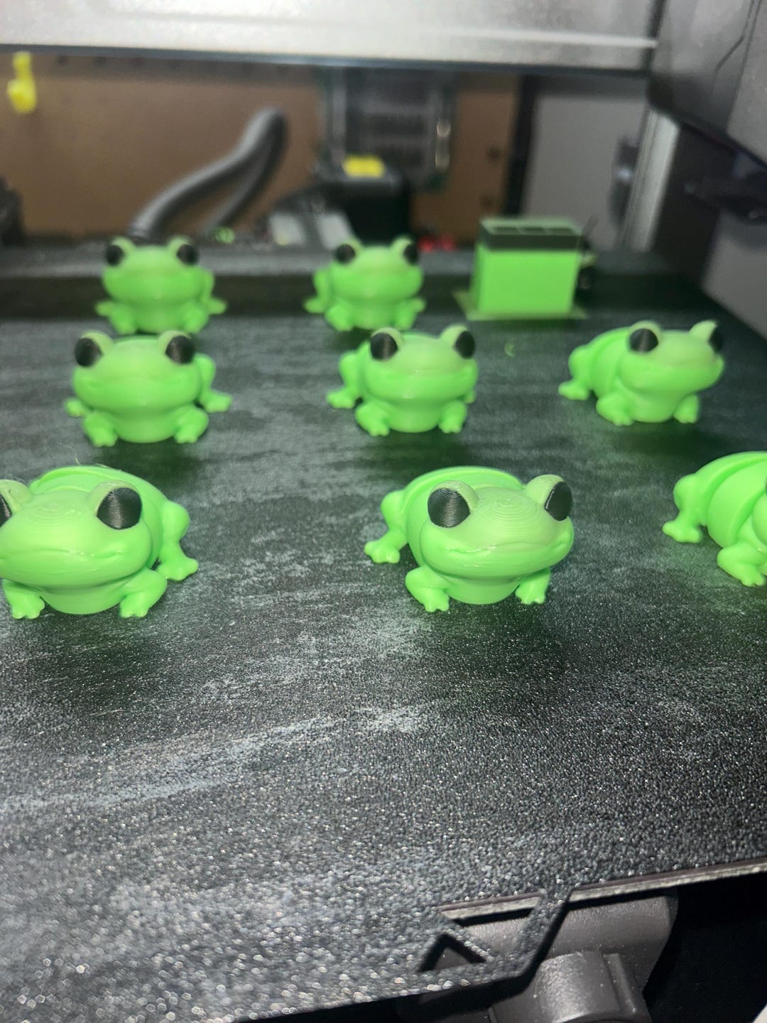 Mini Fidget Coqui Frog Toy - Etsy