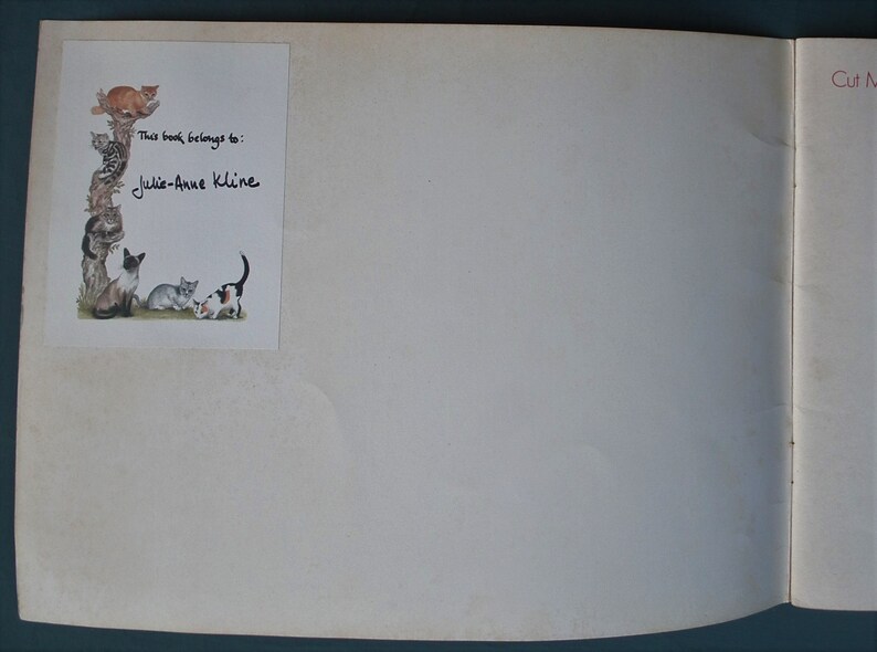 Cut My Cote Dorothy K. Burnham 1973 1st edn vintage 1970s book | Etsy