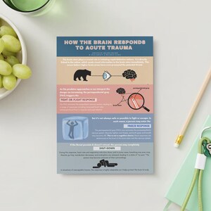 How the Brain Responds to Acute Trauma: Educational Infographic on ...