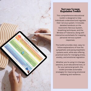 The Nervous System Regulation Toolkit Sympathetic and Parasympathetic ...