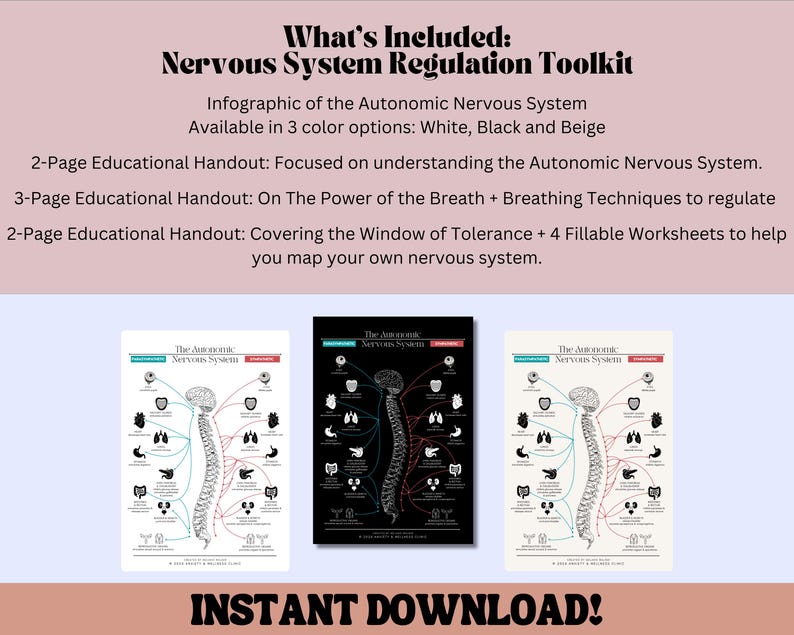 The Nervous System Regulation Toolkit Sympathetic and Parasympathetic ...