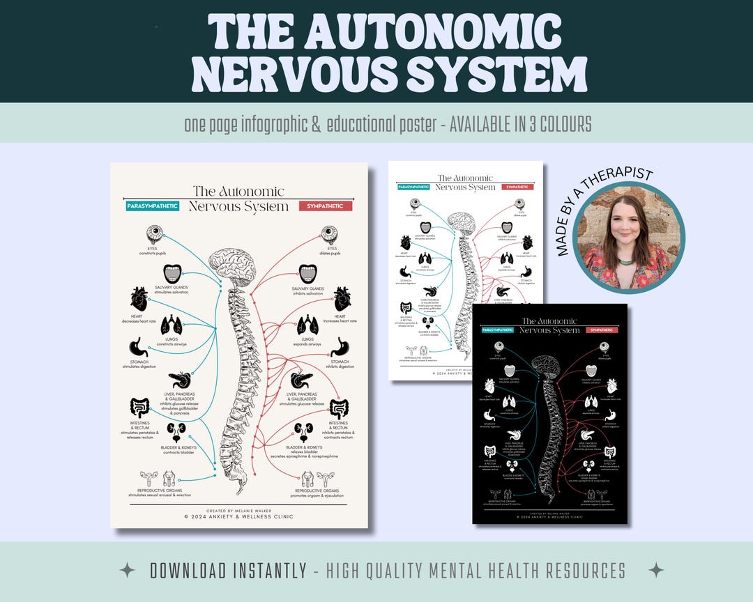 The Autonomic Nervous System - Sympathetic and Parasympathetic Nervous ...