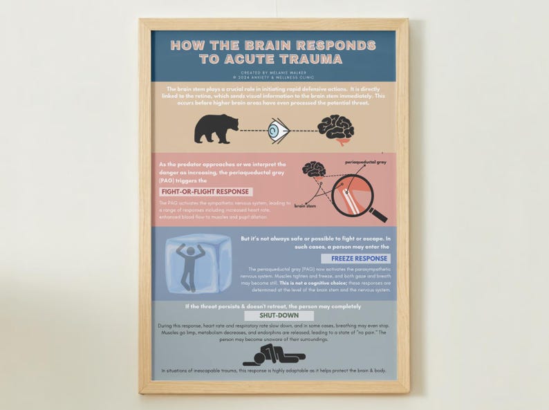How the Brain Responds to Acute Trauma: Educational Infographic on ...
